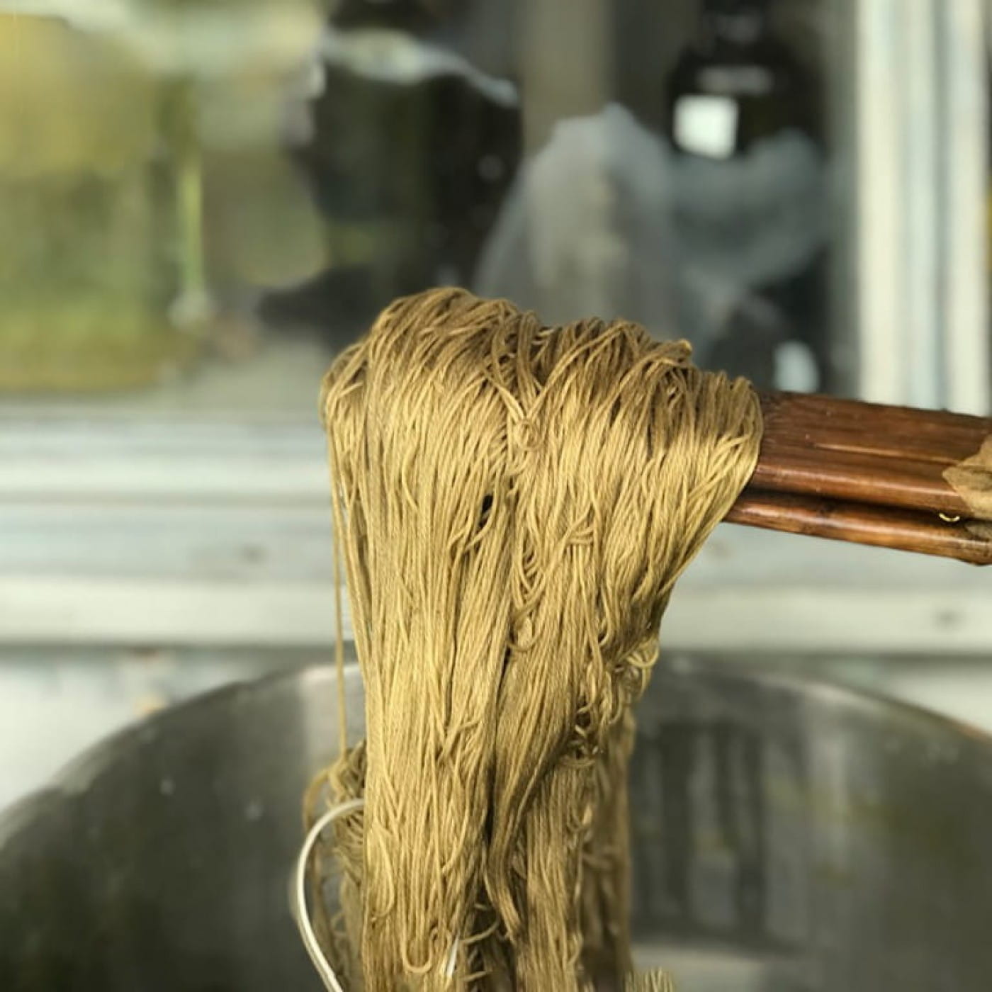 Dyeing cotton yarn with nettles | Snapdragon Life