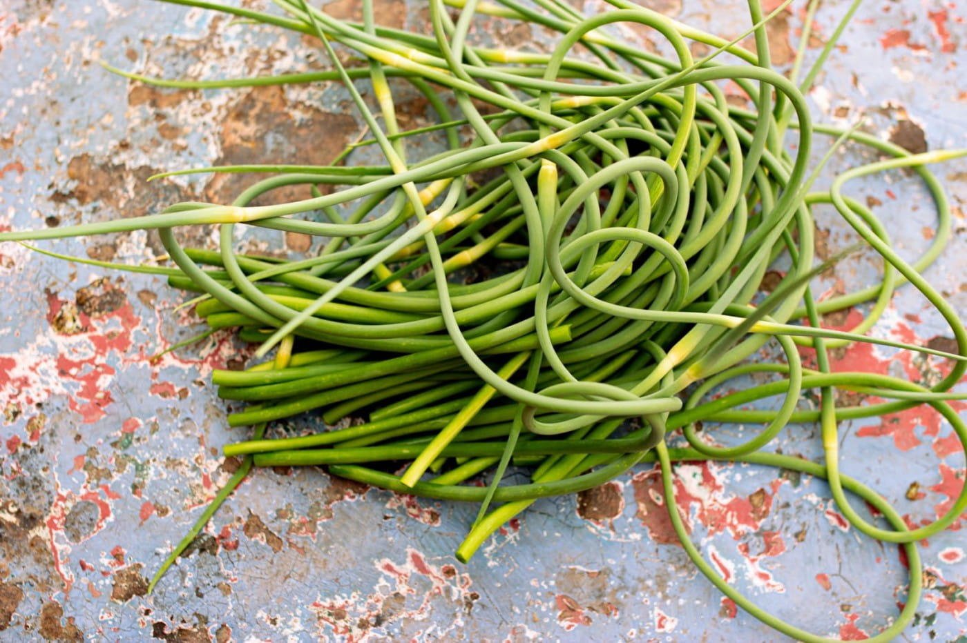 Pickled garlic scape recipe | Snapdragon Life