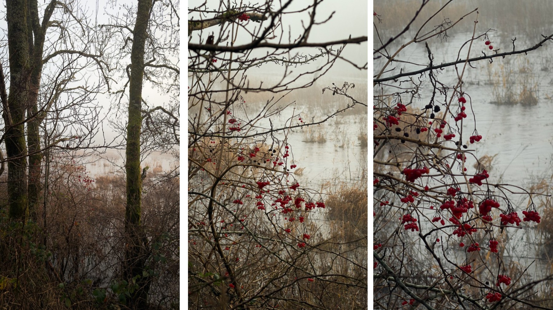 Flooding in the fields, Callander, Scotland | Snapdragon Life