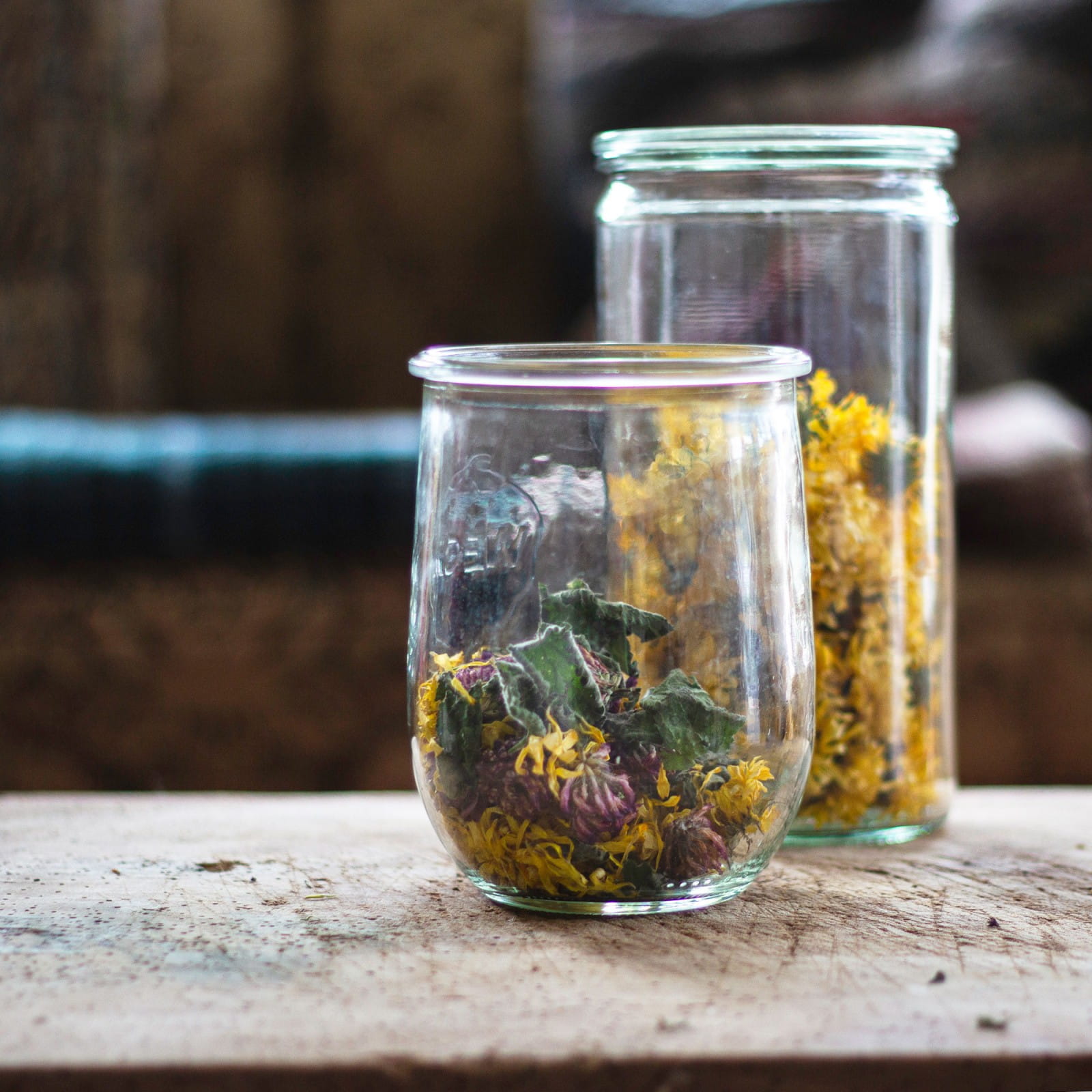 Peri-Menopausal Tea? | Snapdragon Life