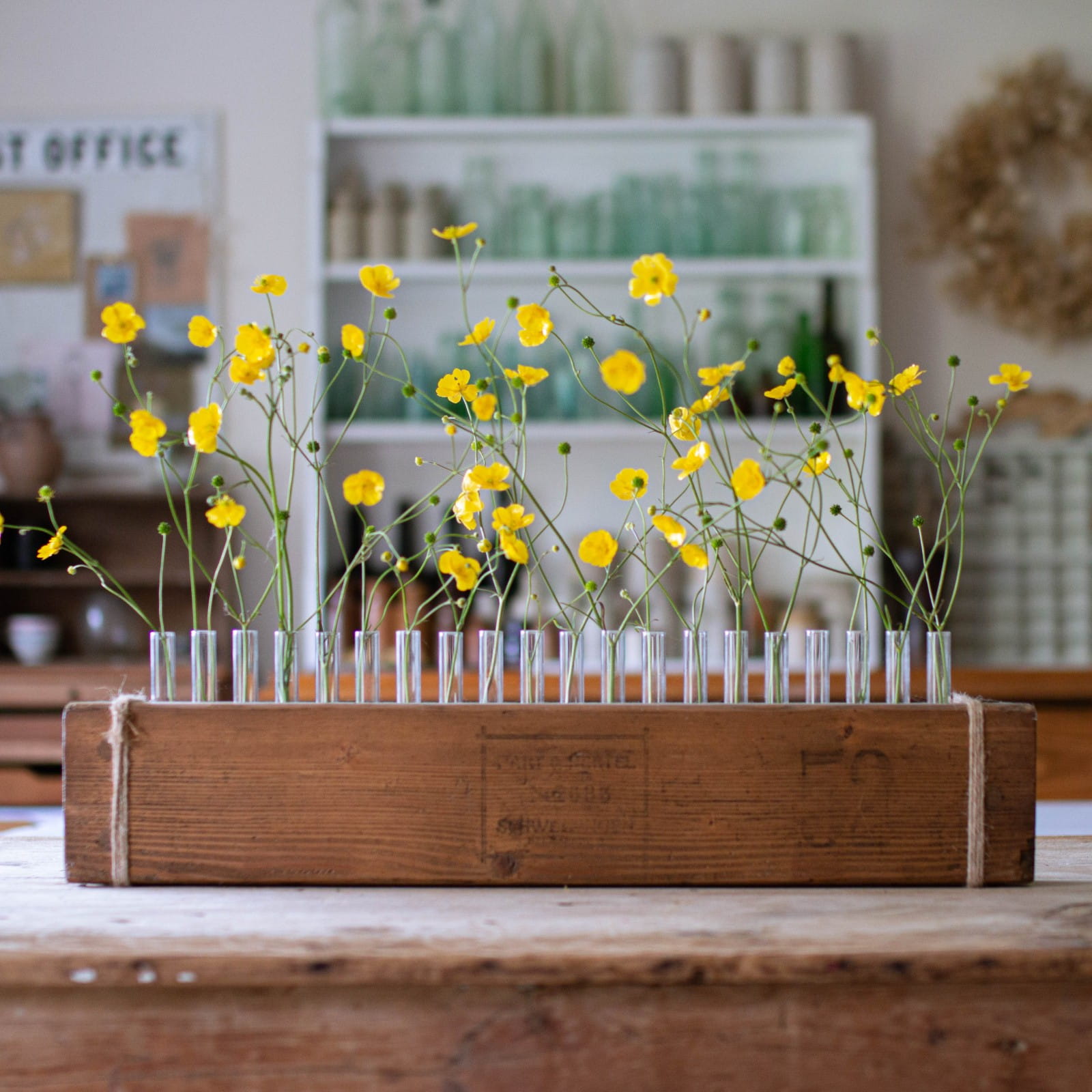 Buttercups as cut flowers | Snapdragon Life