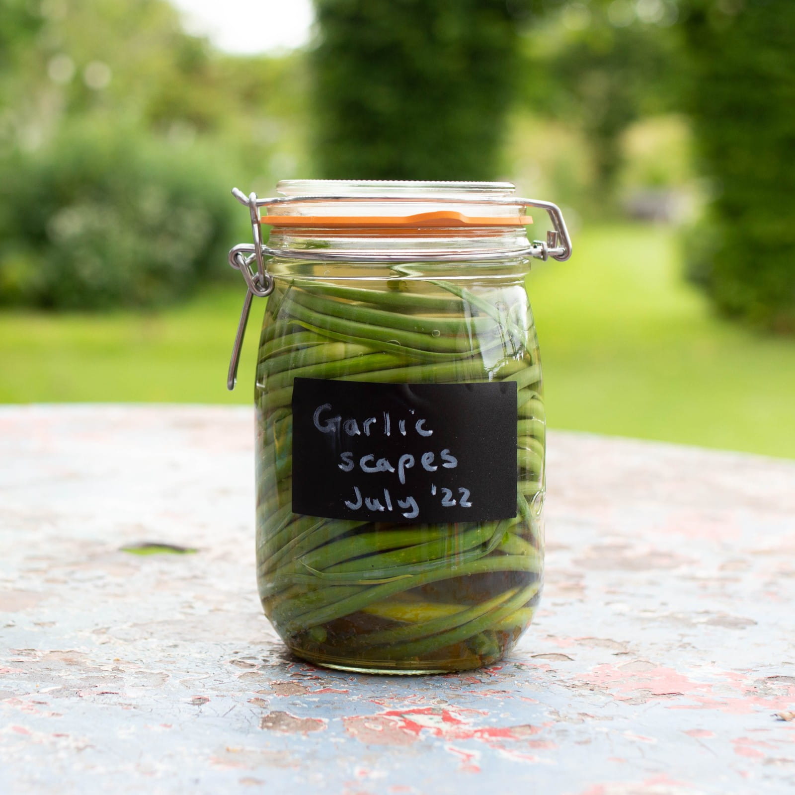 Pickled garlic scape recipe | Snapdragon Life