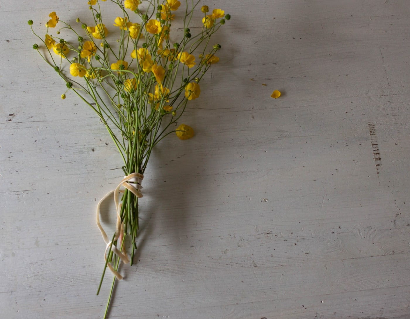 Buttercups as cut flowers | Snapdragon Life