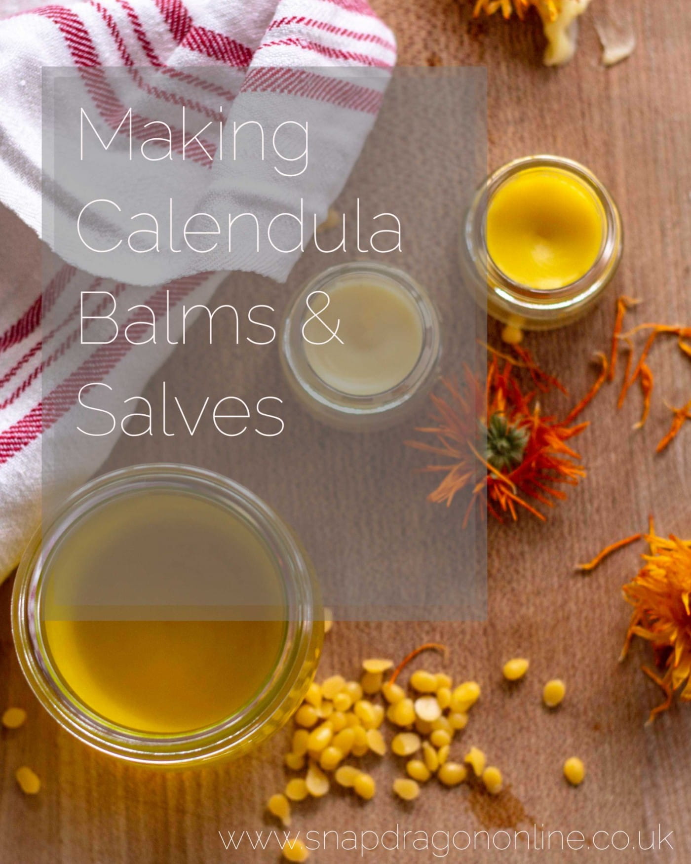 Making Calendula Balm or Salve | Snapdragon Life