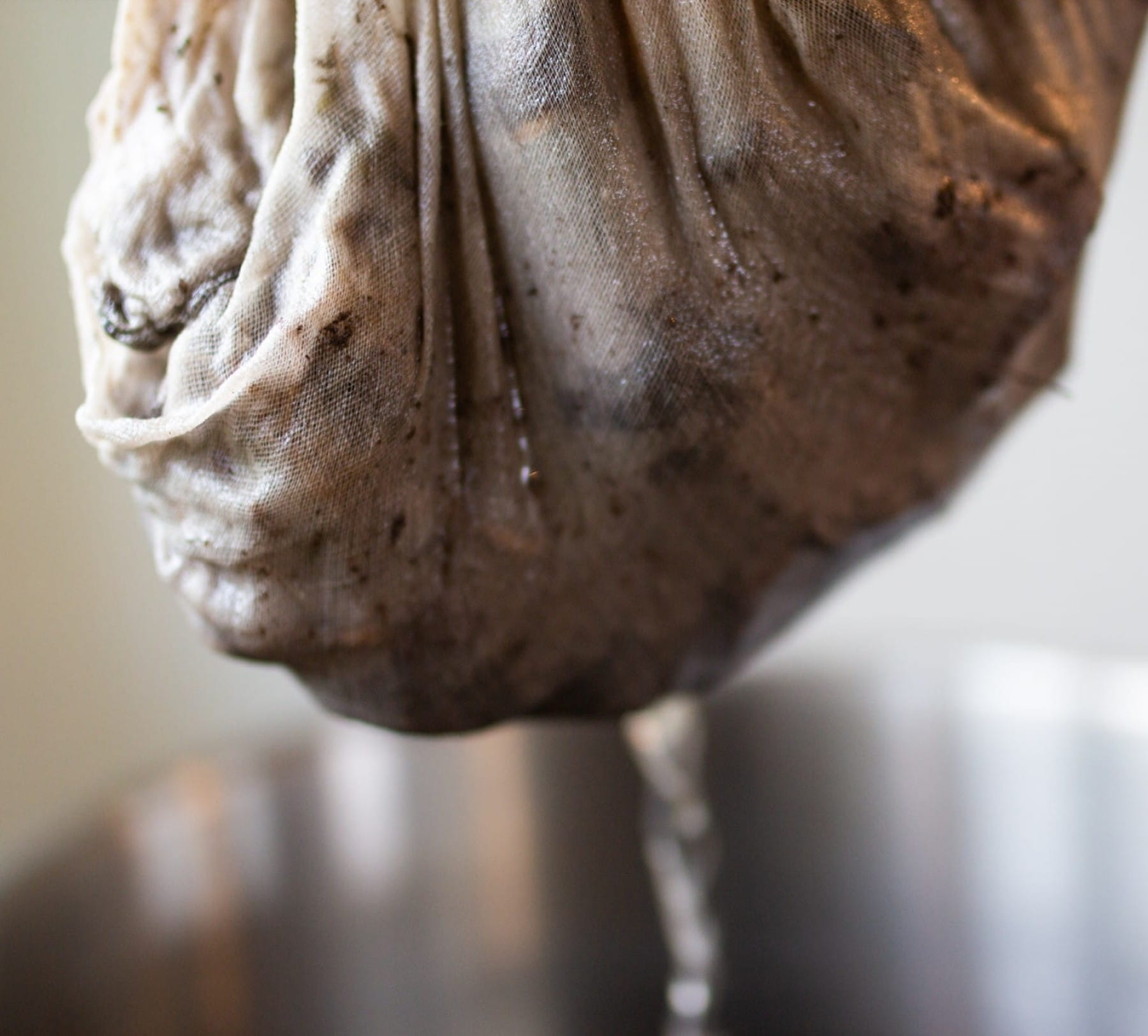 Natural dyeing: Flag Iris root on linen | Snapdragon Life