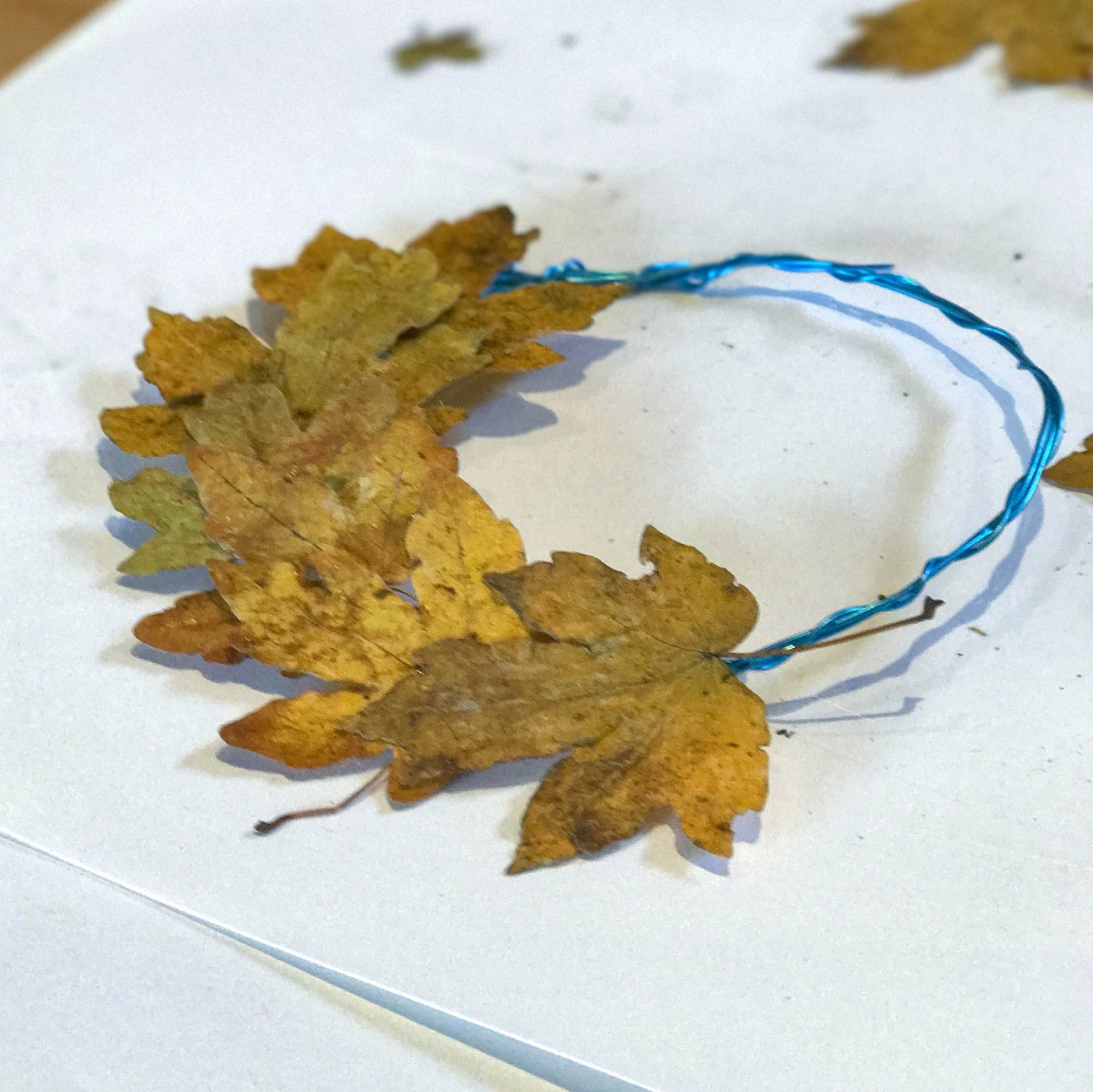 Making dried leaf rings | Snapdragon Life