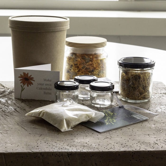 Snapdragon blog | Snapdragon Life