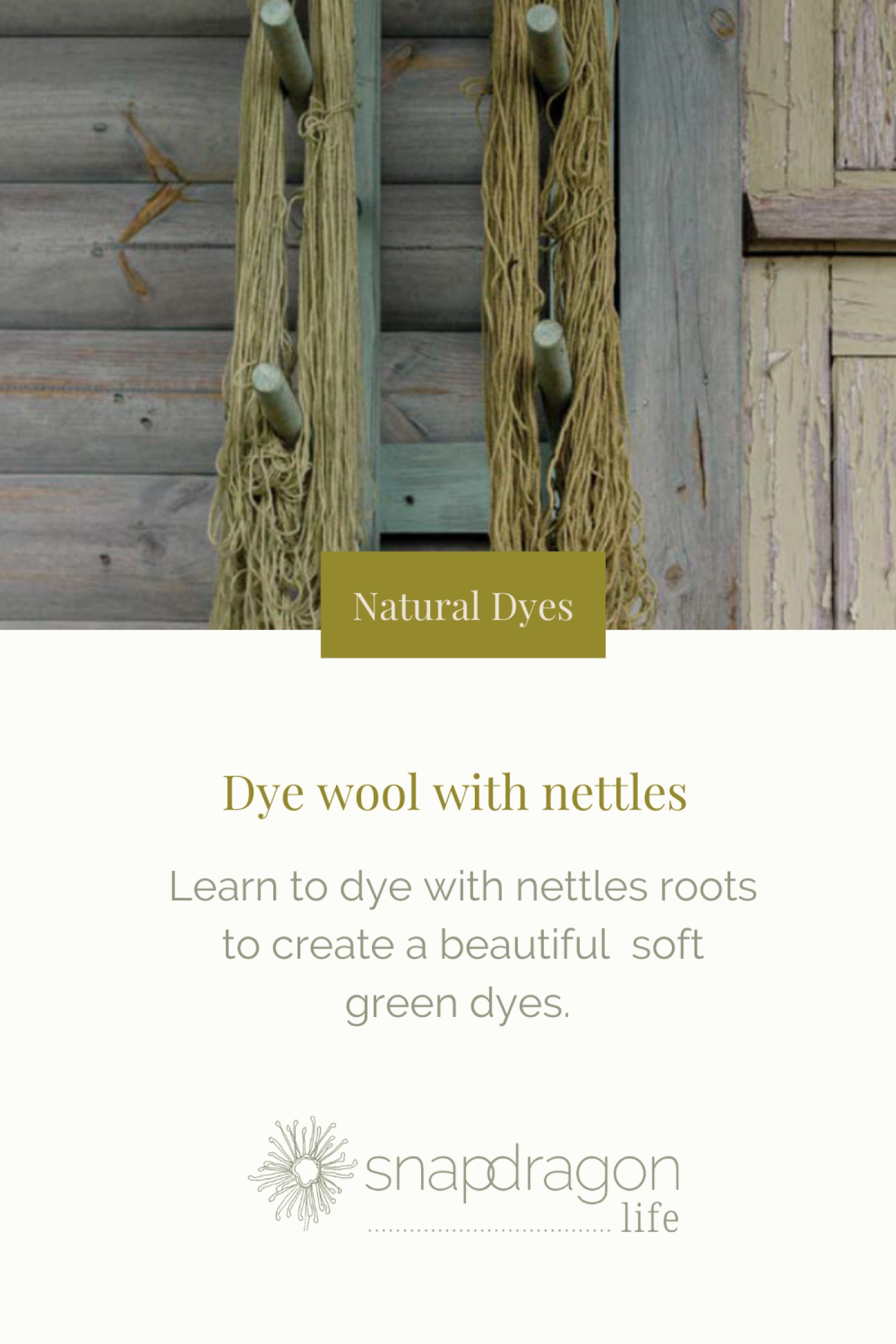Dyeing wool with nettles | Snapdragon Life