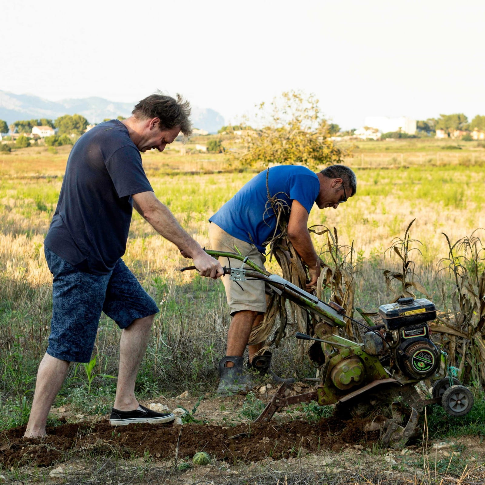 Traditional small scale agriculture | Snapdragon Life