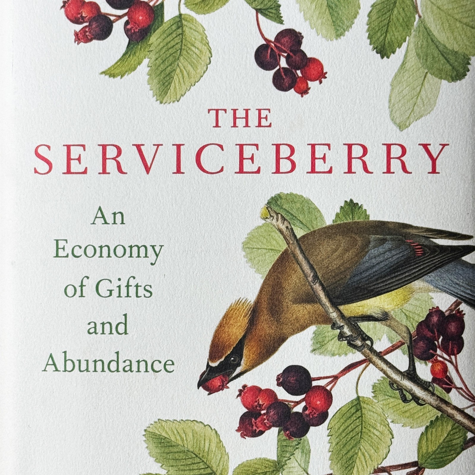The Serviceberry by Robin Wall Kimmerer | Snapdragon Life
