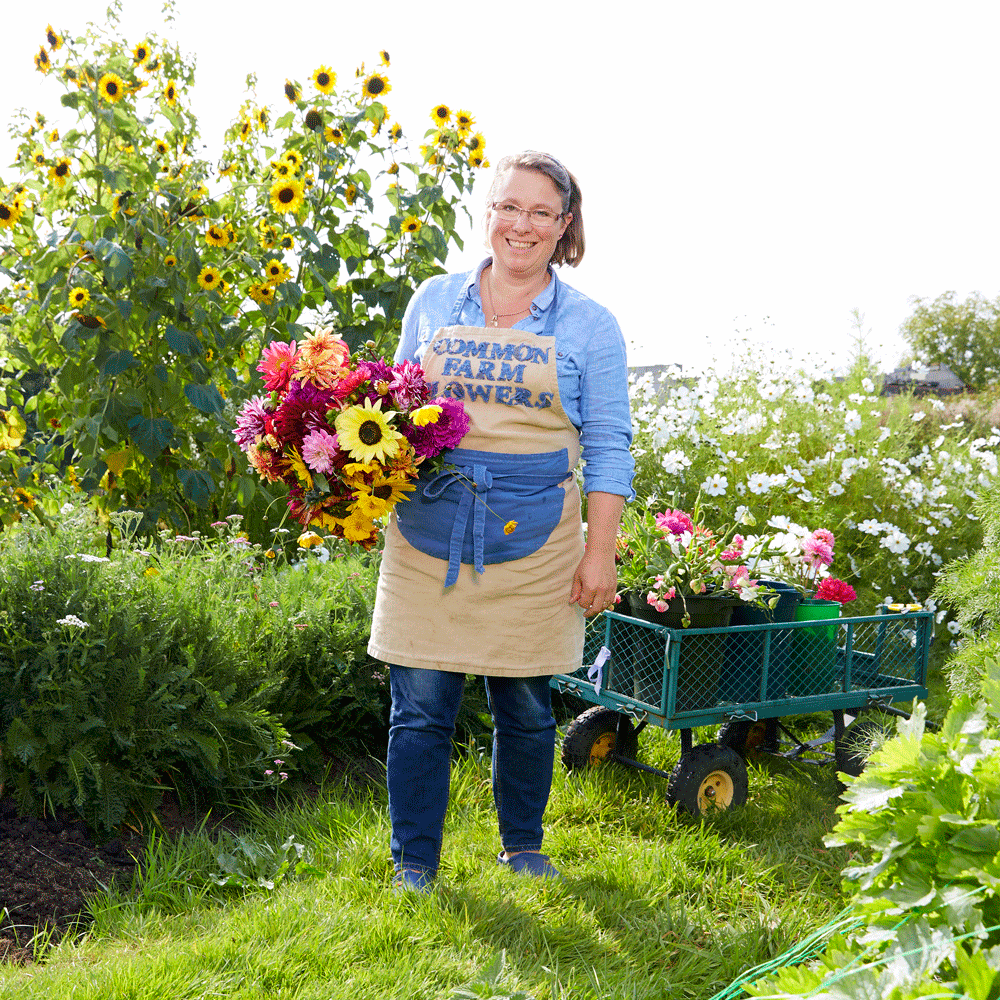 Common Farm Flowers - | Snapdragon Life